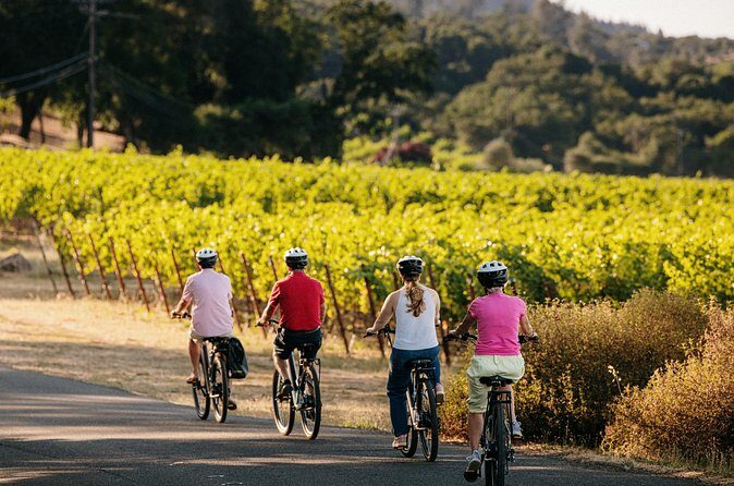 Half Day Guided Electric Bike Wine Tasting Tour with Lunch - Considerations