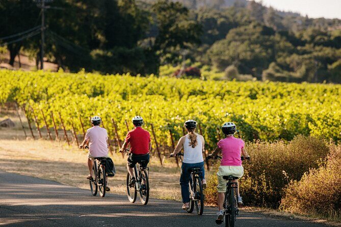 Half Day Guided Electric Bike Wine Tasting Tour with Lunch - The Sum Up