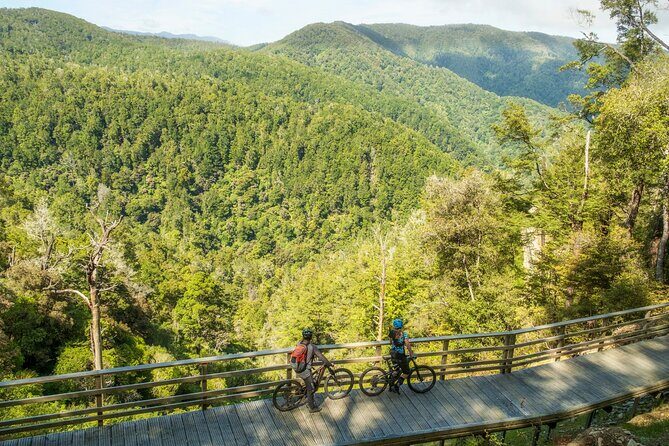 Half Day Guided Mountain Biking Adventure in Nelson - Key Points