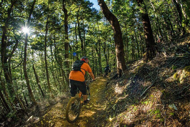 Half Day Guided Mountain Biking Adventure in Nelson - Who Is This Tour Best For?