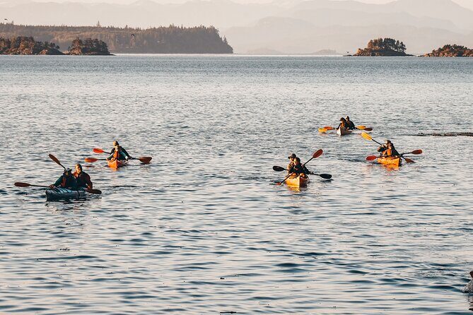 Half-Day Guided Sea Kayaking Adventure in Telegraph Cove - Analyzing the Value: Is It Worth It?