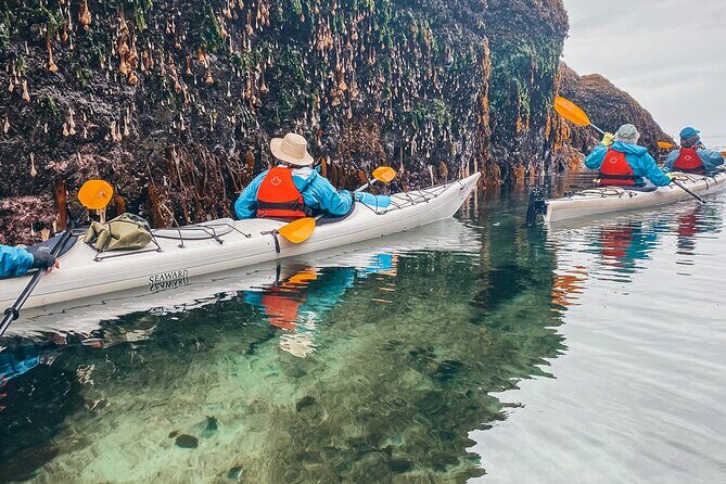 Half-Day Guided Sea Kayaking Adventure in Telegraph Cove - FAQ