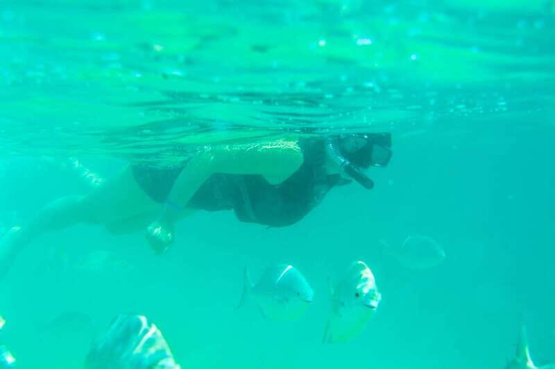 Half Day Guided Snorkel Tour in Los Cabos - An Honest Look at the Snorkel Tour in Los Cabos