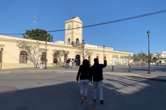 Half-Day Guided Tour in San José del Cabo Art and Beer Tasting - Celebrate with Craft Beer and Gourmet Pizza at Baja Brewing