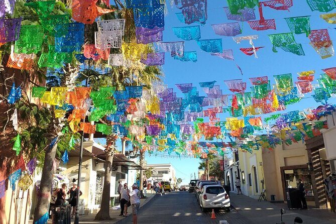 Half-Day Guided Tour in San José del Cabo Art and Beer Tasting - The Practicalities: What to Expect