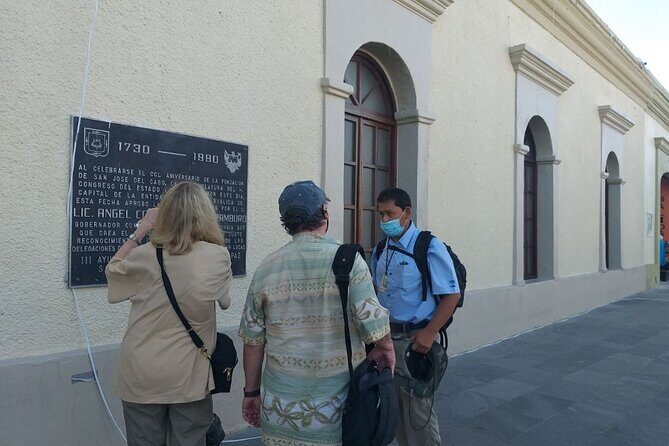 Half-Day Guided Tour in San José del Cabo Art and Beer Tasting - Authentic Experiences and Local Insights