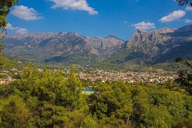 Half Day Guided Tour in Soller Train and Tram - An In-Depth Look at the Itinerary