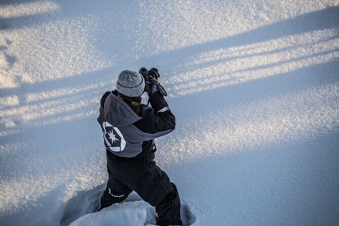 Half Day Guided Tour in the Wilderness of Levi - Who Is This Tour Best For?