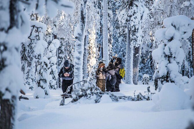 Half Day Guided Tour in the Wilderness of Levi - FAQs