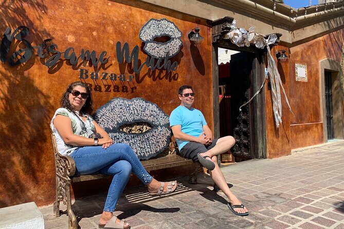 Half-Day: Guided Tour to Todos Santos Magical Town - Key Points