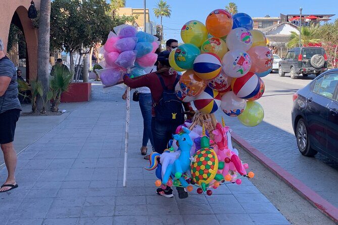 Half-Day: Guided Tour to Todos Santos Magical Town - Final Word