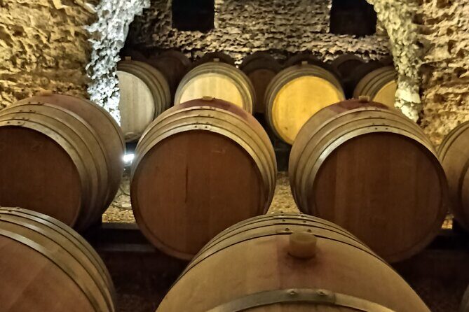 Half-Day Guided Tour with Tasting of Beaujolais Wines - What You Can Expect at Each Stop