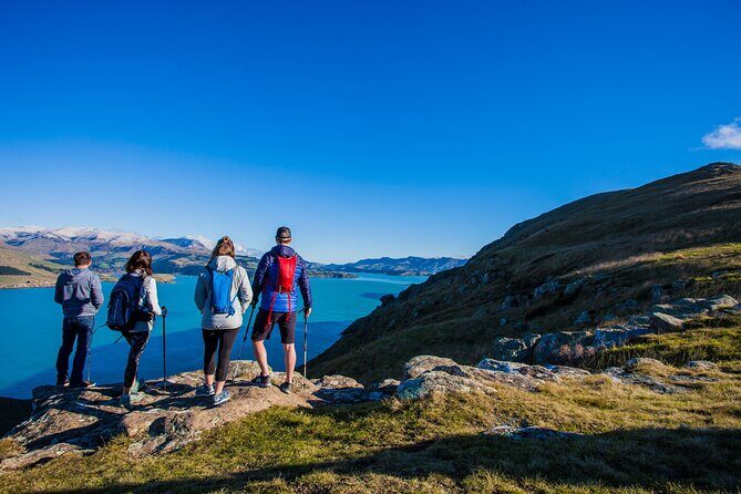 Half Day Guided Walking Tour on Banks Peninsula - Exploring the Half Day Guided Walking Tour on Banks Peninsula