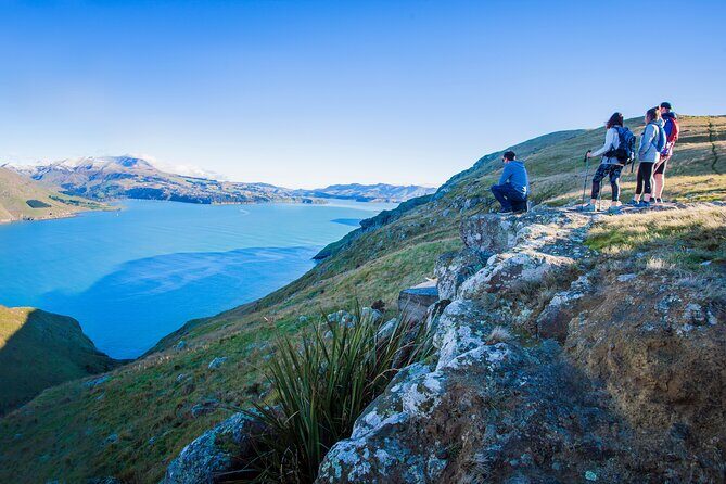 Half Day Guided Walking Tour on Banks Peninsula - An In-Depth Look at the Tour Experience