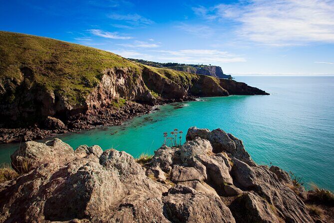 Half Day Guided Walking Tour on Banks Peninsula - Final Thoughts: Who Should Book This Tour?