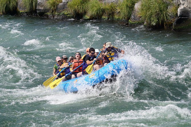 Half-Day Guided Whitewater Rafting - Deschutes River - The Guides and Safety: Why They Matter