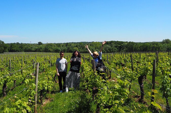 Half-Day Guided Wine Tasting Tour in Bordeaux Vineyards - The Experience through Real Traveler Eyes