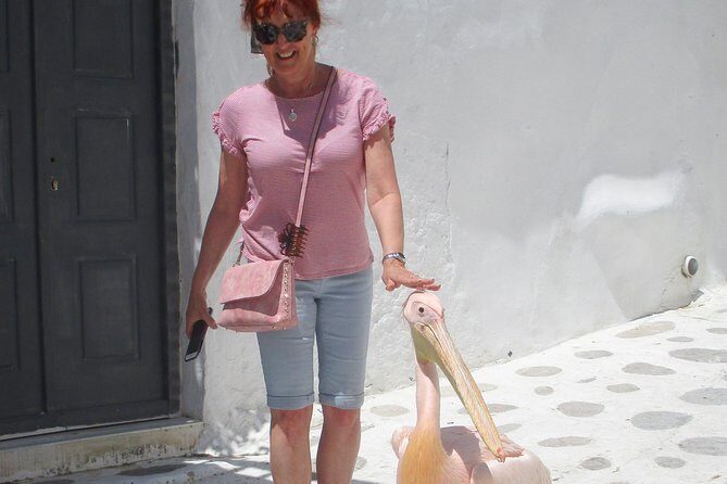 Half-Day Highlights of Mykonos Tour - Tour Duration and Price