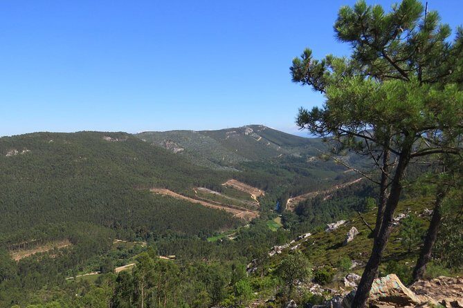 Half-day Hike & Picnic with Dog Love in Porto's Mountains - The Return and Reflection