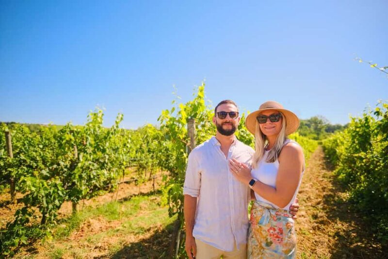 Half-day Hills Experience to San Gimignano with Pic Nic Wine - Final Thoughts
