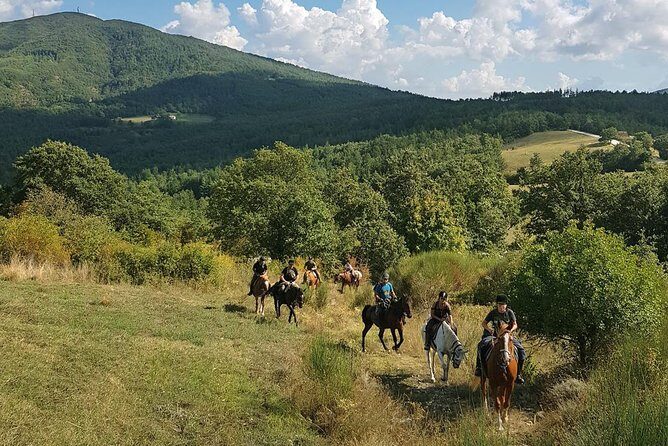 Half-Day Horseback Ride in Tuscany - What to Expect from the Tuscan Horseback Ride