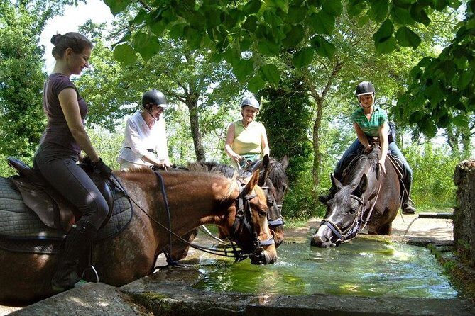 Half-Day Horseback Ride in Tuscany - Authentic Insights from Reviews