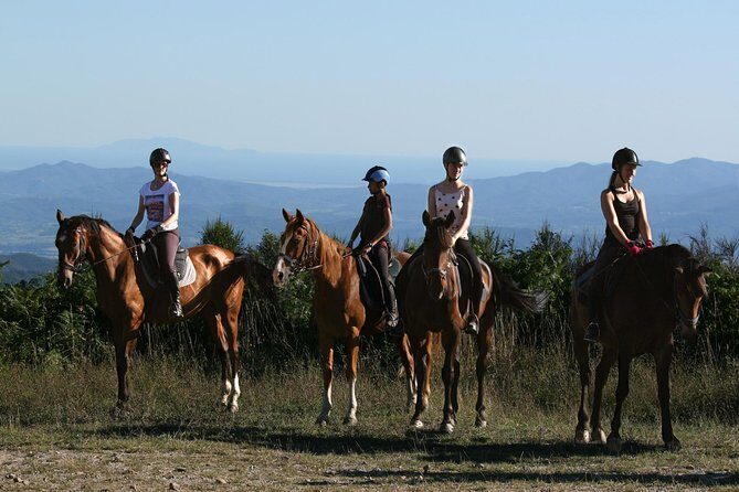 Half-Day Horseback Ride in Tuscany for beginner riders - Key Points