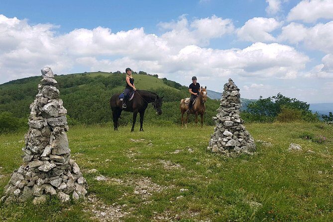 Half-Day Horseback Ride in Tuscany for beginner riders - Who Will Love This Tour?