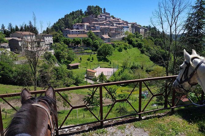 Half-Day Horseback Ride in Tuscany for beginner riders - The Sum Up