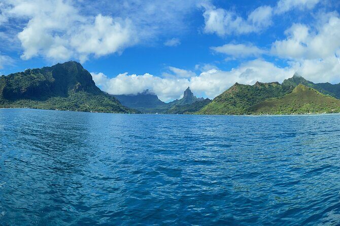 Half-Day Humpback Whales Encounter in Moorea - Meeting and Safety Briefing