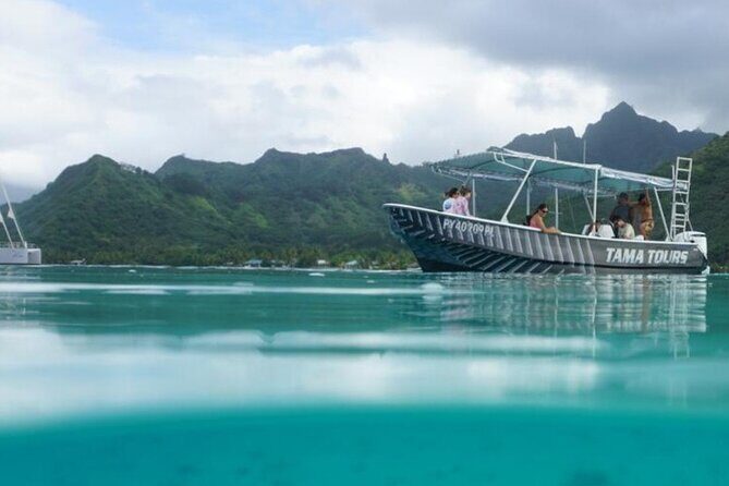 Half-Day Humpback Whales Encounter in Moorea - Observation and Photo Opportunities