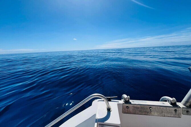 Half-Day Humpback Whales Encounter in Moorea - Respect and Safety