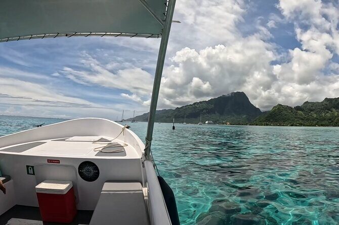 Half-Day Humpback Whales Encounter in Moorea - The Sum Up of the Tour
