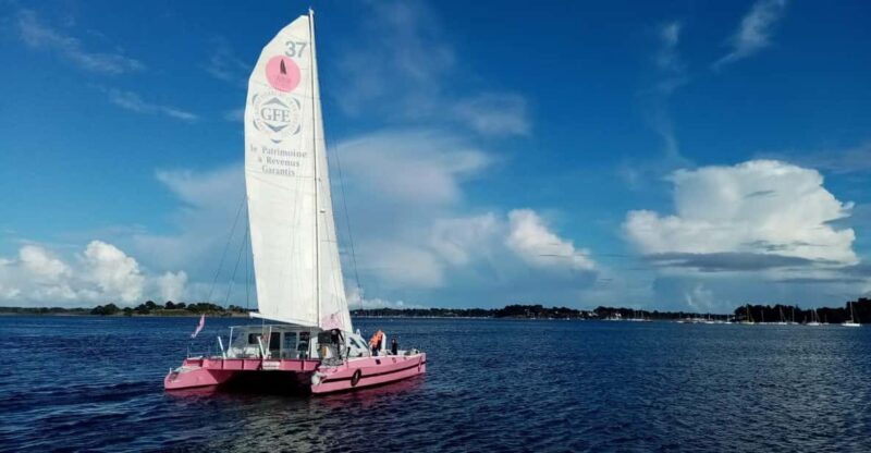 Half day in the Bay of Concarneau - What to Expect from the Half Day in Concarneau Bay