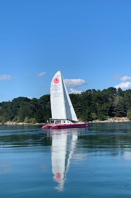 Half day in the Bay of Concarneau - Practical Tips for Your Trip