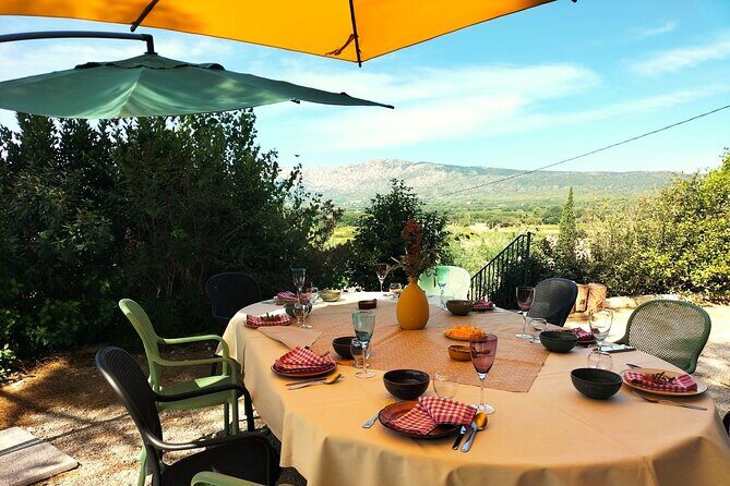 Half Day in the Country : Wine Tasting, Picnic & Pétanque - Exploring the Itinerary in Detail