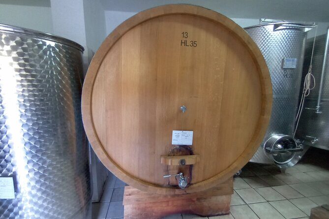 Half-Day Irpinia Wine Tour from SALERNO - The Perfect Itinerary for a Short but Sweet Escape  