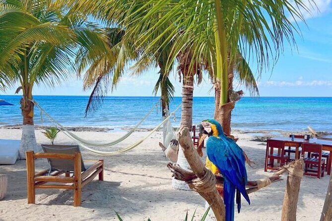 Half-Day Island Tour with Mayan Experience & Beach Break - FAQs