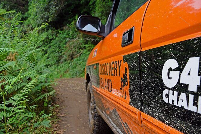 Half Day Jeep Safari Tour at Pico Areeiro and Santo da Serra - What Travelers Love About This Tour