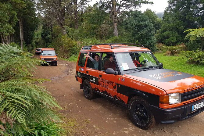 Half Day Jeep Safari Tour at Pico Areeiro and Santo da Serra - The Sum Up