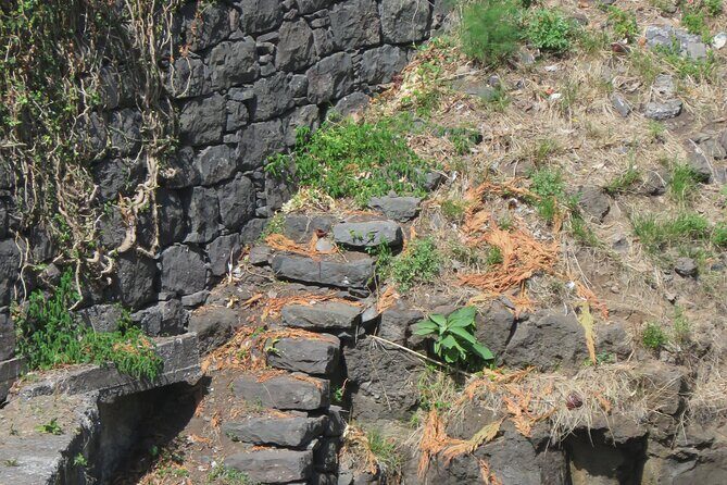 Half day jeep Wine tour and tasting, & sea cliff adventure - The Sum Up