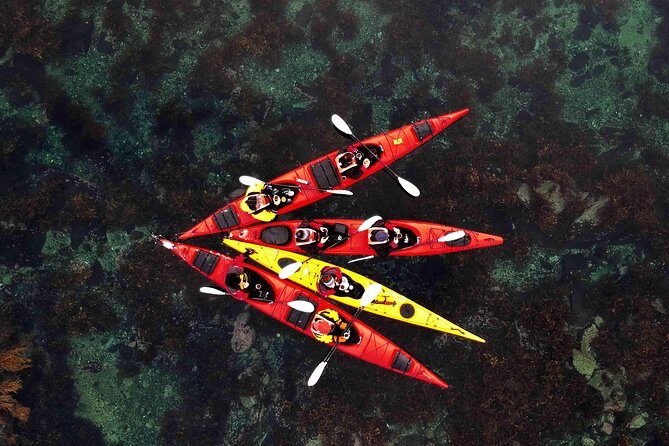 Half Day Kayak - Northern Explores AS - A Closer Look at the Half Day Kayak Tour in Lofoten