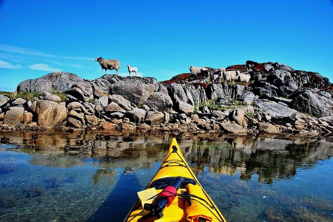 Half Day Kayak - Northern Explores AS - The Authentic Experience: What Reviewers Say
