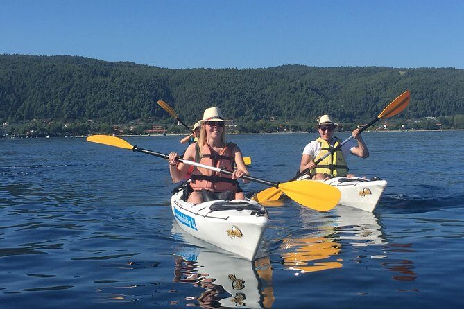 Half Day Kayak Trip - Final Thoughts