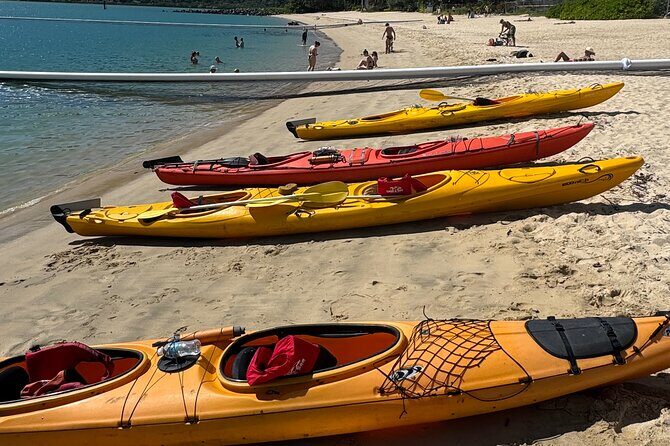 Half Day Kayak Turtle Tour - The Sum Up