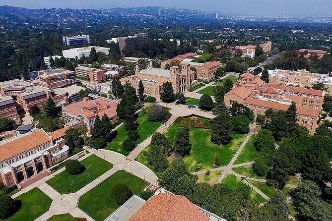 Half Day LA Tour: Hollywood, Beverly Hills & Santa Monica - The Value of the Tour