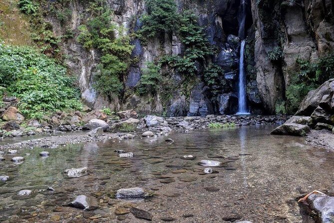 Half day Lagoa do Fogo - An In-Depth Look at the Tour Experience