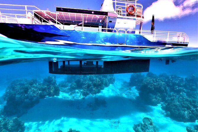 Half day lagoon safari tour in Bora Bora- Shared tour - Final Thoughts: Is This Tour for You?