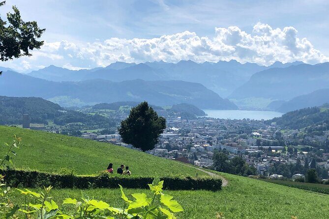 Half-Day Lake Lucerne Country Walk - Who Should Book This Tour?