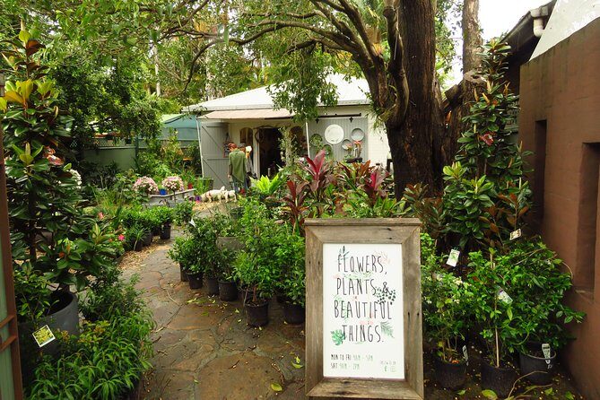 Half Day Learn to Surf Tour From Byron - The Value of This Tour